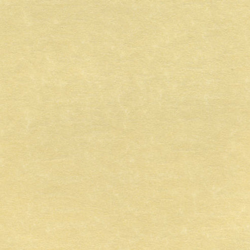 Papel Pergamino Nube oro- antique gold 58X89 90g – Servimerc